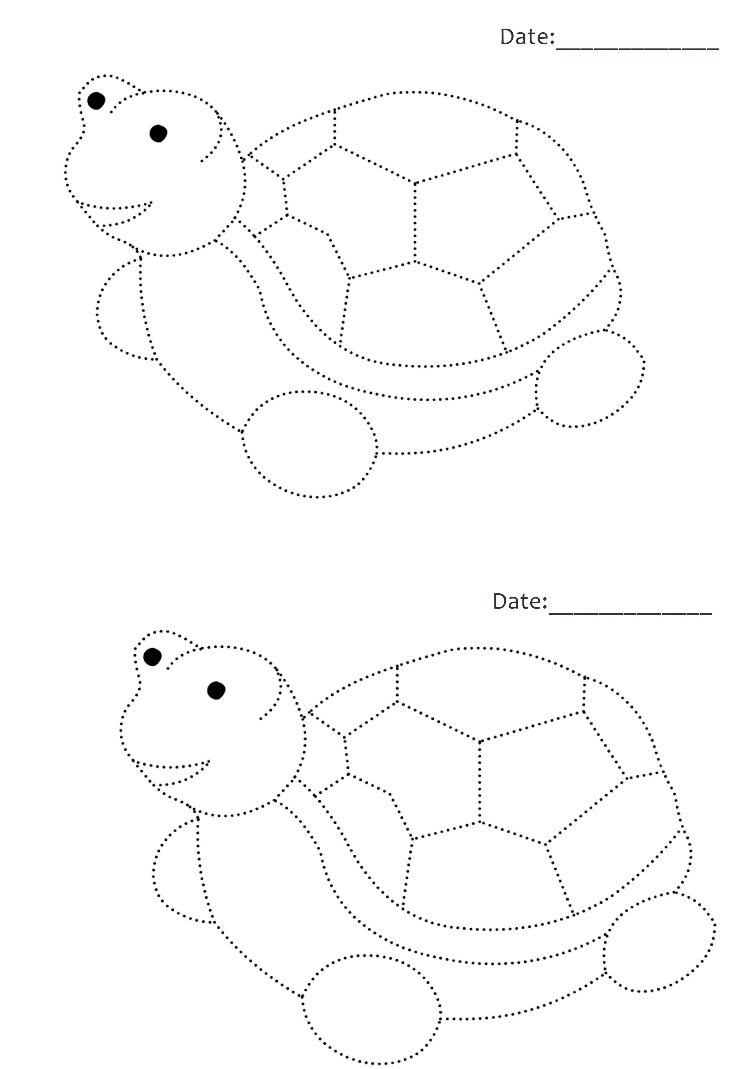 Drawing Printable Worksheets For Pre Nursery Shamim Grammar School SGS 
